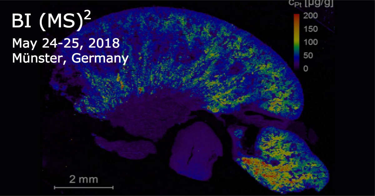 First Workshop on laser bioimaging mass spectrometry BI (MS)2