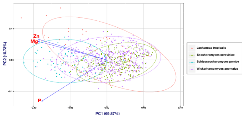 Single Cell ICP-MS Analysis Provides New Insights Into Cell Ionomics