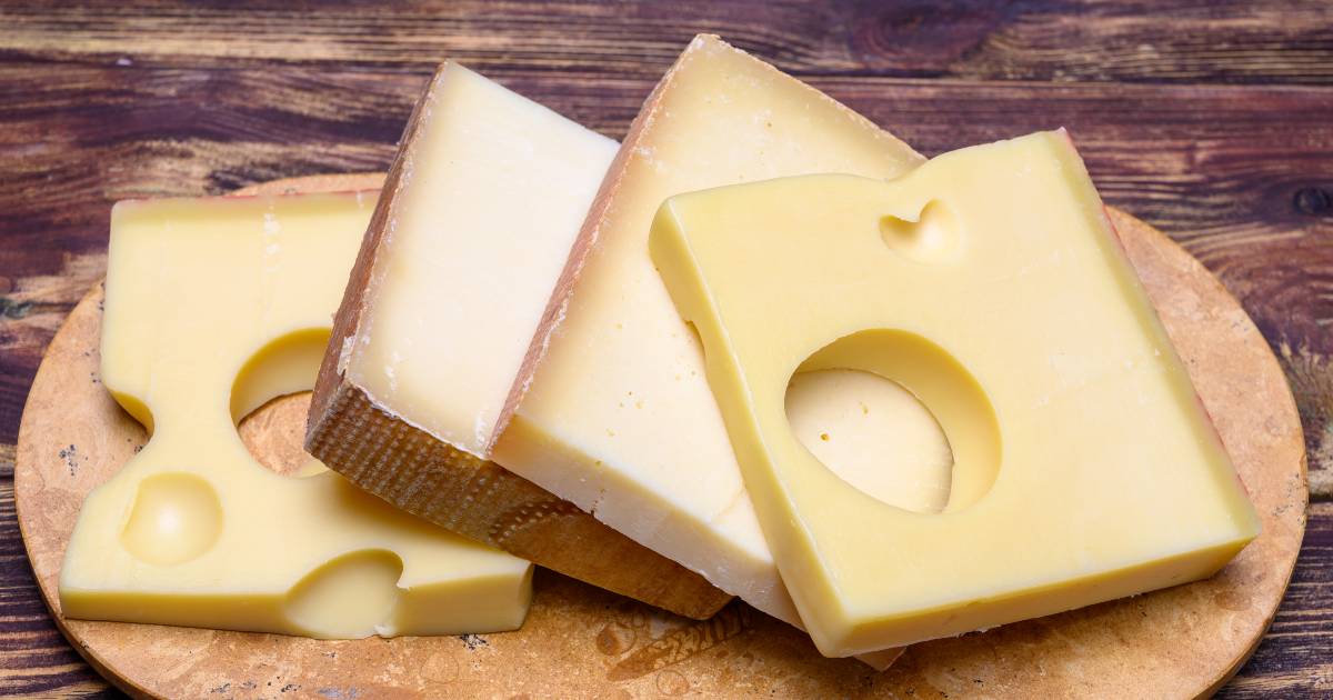 Flavor Profiling - Volatilomic Comparison of Cheeses