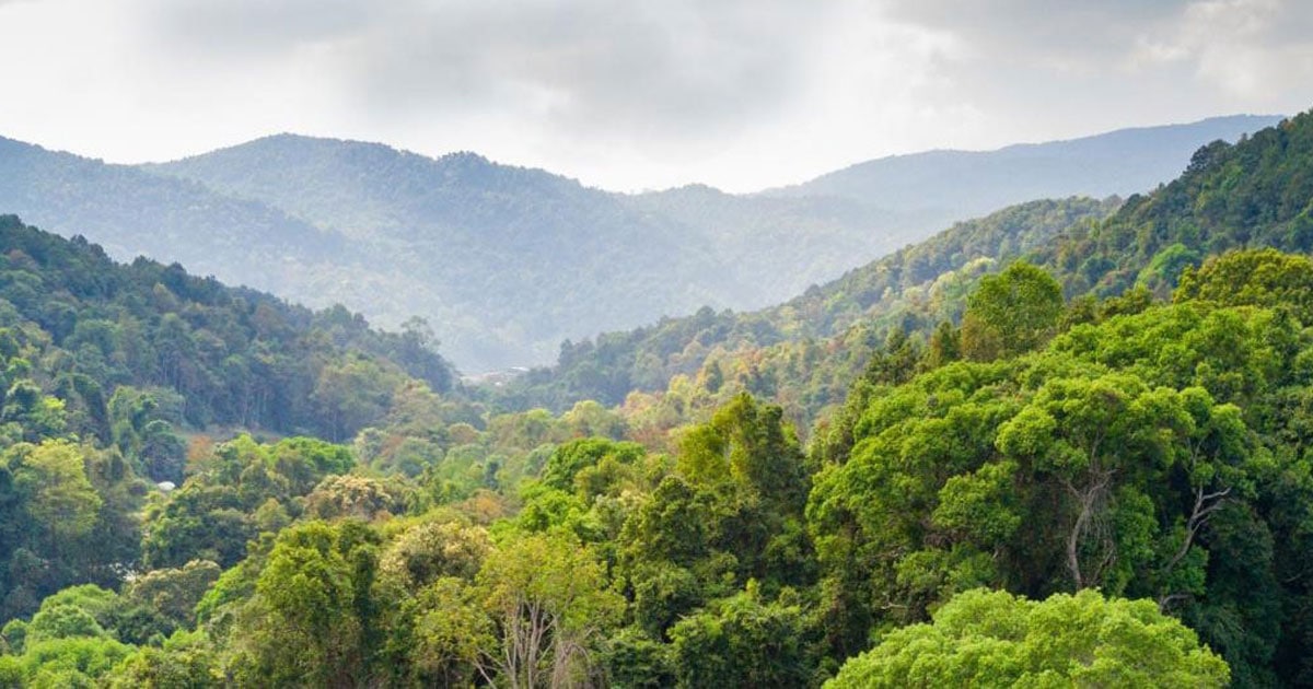 Series and Specifications - TOFWERK