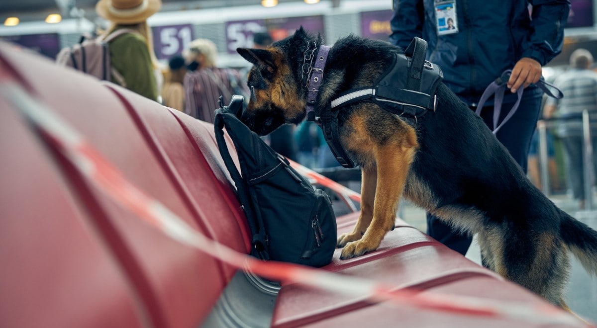 Real-Time Trace Explosives Detection Using the Vocus CI-TOF